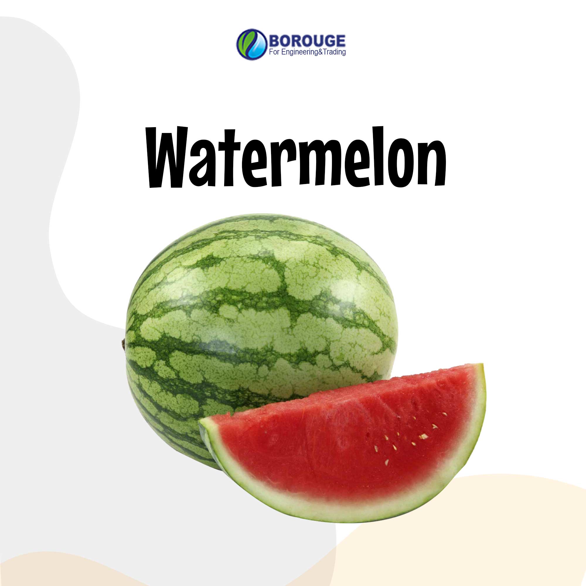 Borouge – Import and Export